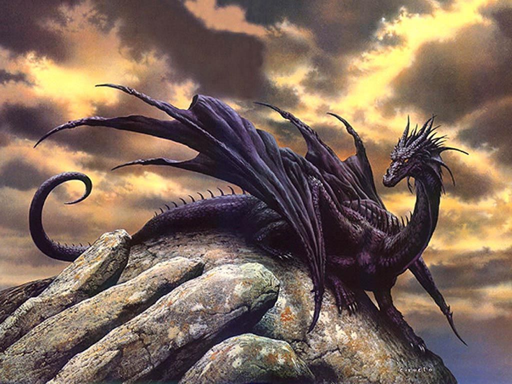 les differents dragons les differents dragons